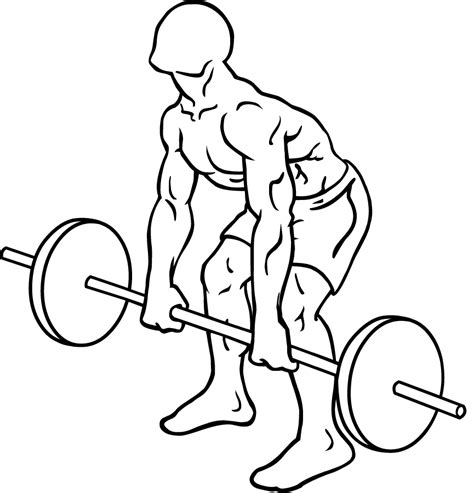 bent over rowing