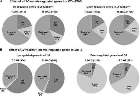 Gene Expression Pattern In Lfyasemf1 Ult1 3 Seedlings A Pie Charts Of Download Scientific
