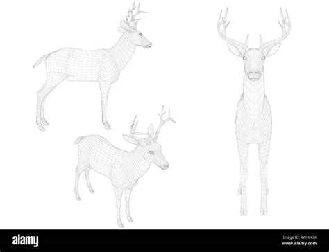 Set With Wireframe Deer Of Black Lines On A White Background Side