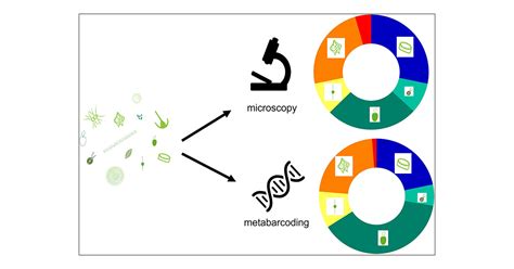 Metabarcoding Vs Microscopy Comparison Of Methods To Monitor