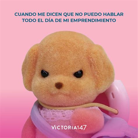 Victoria147 El Ternurín Enojado Nos Representa 🤭 Meme