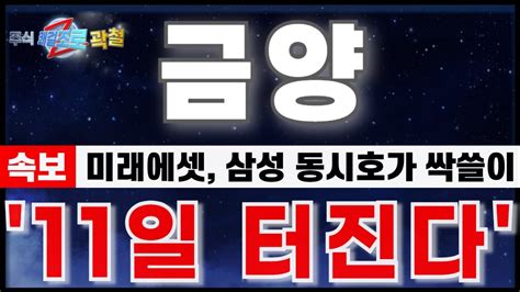 금양 주가 전망 11월06일 긴급속보 미래에셋 삼성 저점기습매수 시작했다 대선 이벤트 유증 추가확보 수상한 움직임 11일 터진다 금양 금양 주가전망 2