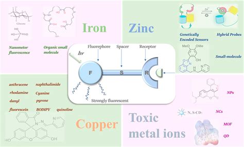 frontiers recent progress in fluorescent probes for metal ion detection