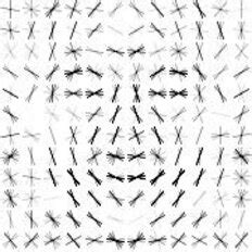 A HOG Descriptor Of A Face Download Scientific Diagram