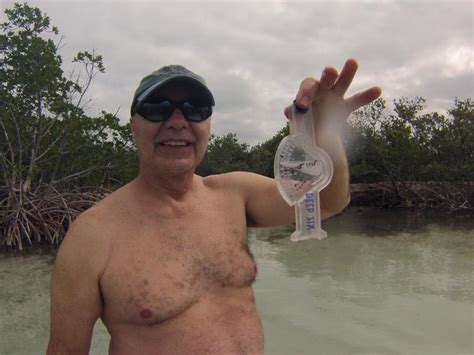 Thoughts Hydrometer Vs Refractometer Reef2reef