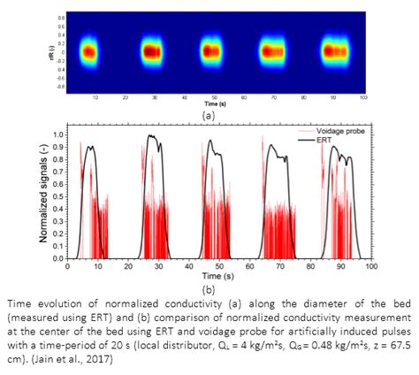 Local Liquid Distribution In Trickle Bed Reactors