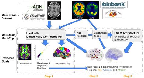 machine learning and inference brain networks laboratory raj