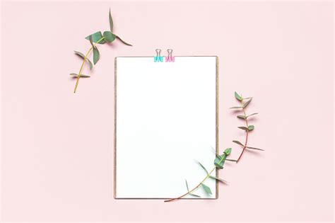 빈 종이가있는 평평한 클립 보드 파스텔 핑크 배경에 녹색 유칼립투스 가지가 있습니다 톱 뷰 여성 사무실 작업 공간 최소 모의 템플릿 개념 복사 공간 여성스러운 꽃 데스크탑