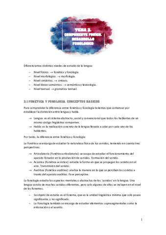 TEMA 3 ADQUISICION Pdf