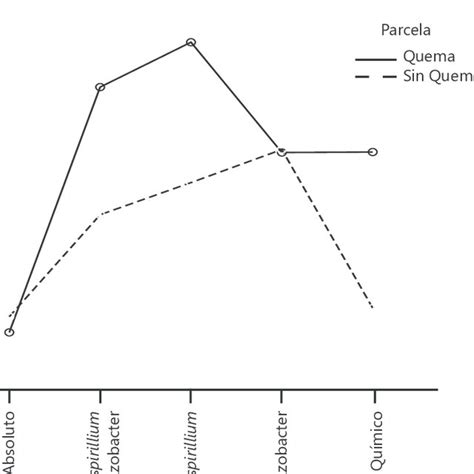 Rendimiento En Parcelas Y Subparcelas Sometidas A Prácticas De Manejo Download Scientific