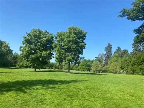 Lauren Edwards On Linkedin And Just Like That My Time At Gowling Wlg Comes To An End Thanks