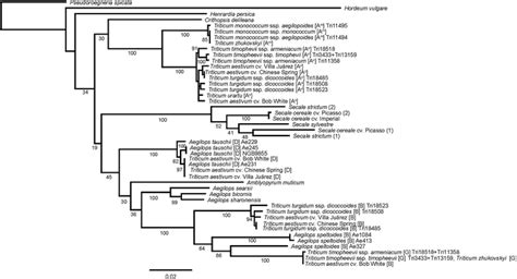 Maximum Likelihood Tree Based On The Four Different Partitions Of The Download Scientific