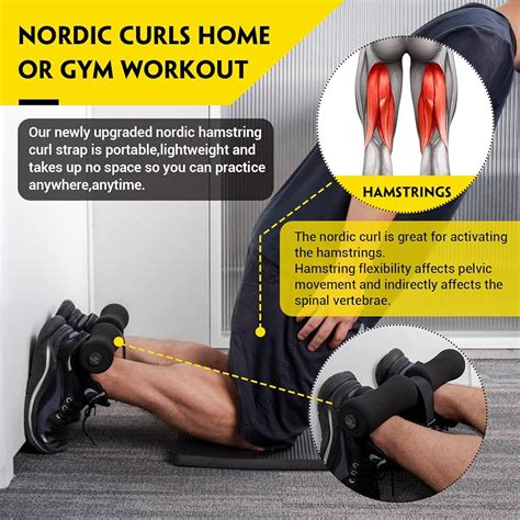 Nordic Hamstring Curl Variations Hamstring Muscles Physical Exercise