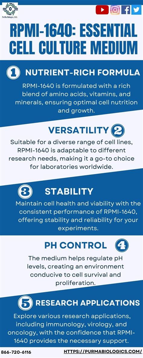 The Function Of Antibiotics In Preserving The Purity Of Cell Culture
