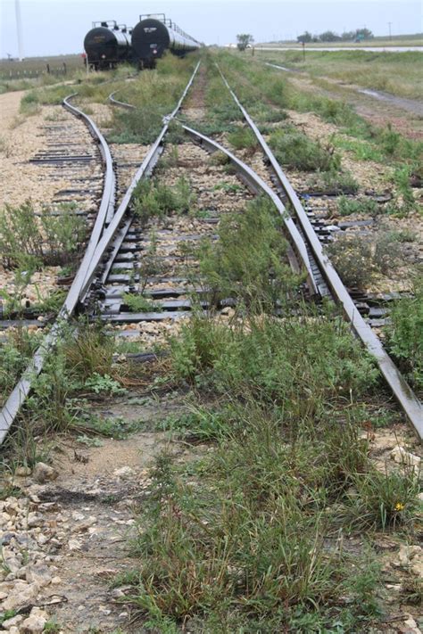 Train Tracks At Roscoe Tx