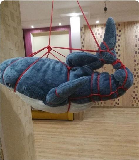 Best R Hololewd Images On Pholder Sexy Holotoris