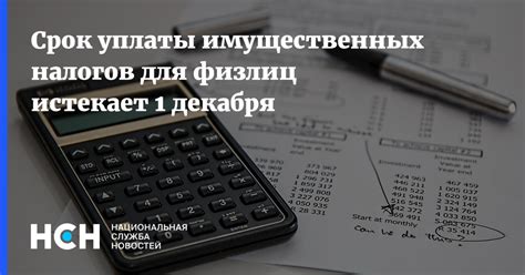 Срок уплаты имущественных налогов для физлиц истекает 1 декабря