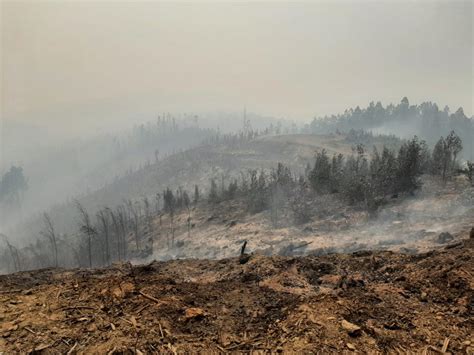 Senapred Cancela Alerta Amarilla Por Incendios Forestales En La Región
