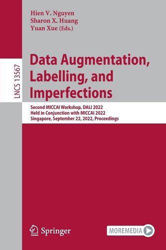 Data Augmentation Labelling And Imperfections Second Miccai Workshop Dali 2022 Held In