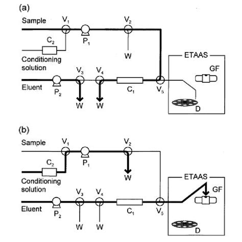 Flow Injection Manifold For The Determination Of Lead By An