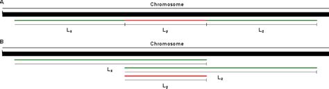 Hands On Assembly Of Metagenomic Sequencing Data Assembly Of