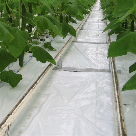 Greenhouse Sheeting Ops Oerlemans Plastics Bv White Black