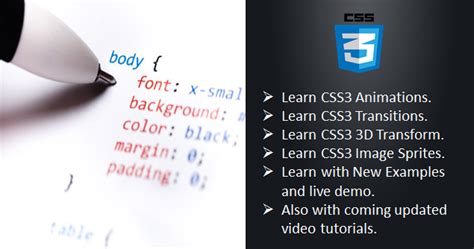 New Css3 Tutorials With Best Css Examples Pro Technify