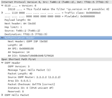 OSPFv3 Authentication Trailers IPv6 Capitulations Tachyon Dynamics