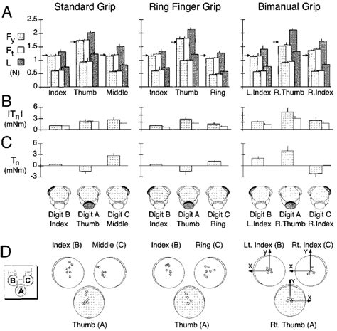 Fingertip Load And Digit Contact Positions During The Hold Phase A Download Scientific