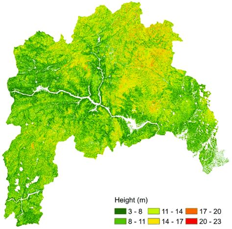 Forest Canopy Height Predicted By The Random Forest Model Download