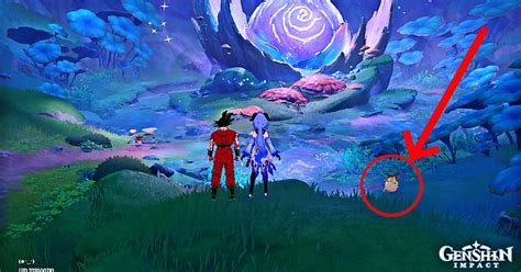 The Dude That Sells The Sumeru Blueprints Album On Imgur