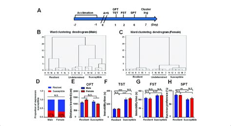 Role Of Sex Deference In POD Like Symptoms A The Schedule Of This Download Scientific