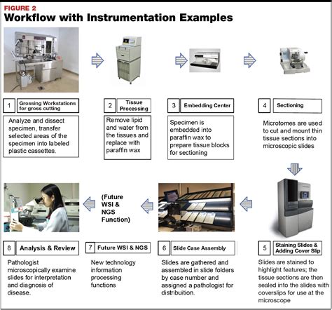 What Are The Diagnostic Techniques Used In Pathology At Heidi Burkholder Blog What Are The Diagnostic Techniques Used In Pathology At Heidi Burkholder Blog