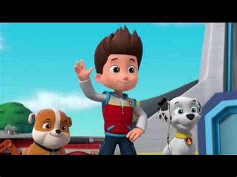 Paw Patrol What Up Pups Youtube