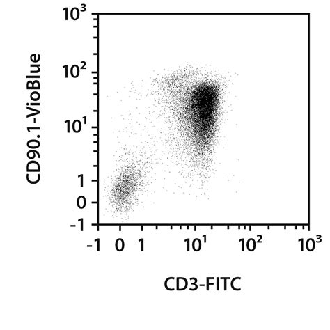 Straightfrom® Spleen Cd90 1 Microbead Kit Mouse Miltenyi Biotec India