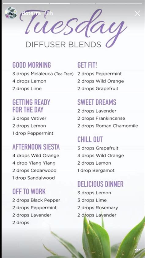 Essential Oils Guide For Diffuser Yoiki Guide
