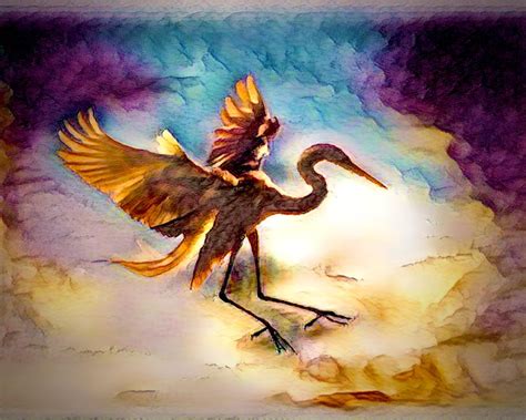 “rocket Princess On Tower Against Logbait” Rclashroyale