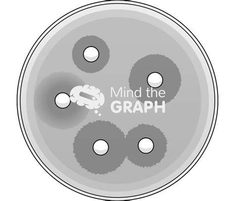 Free Antibiogram Petri Dish Front 2 Icons Symbols Pictures And