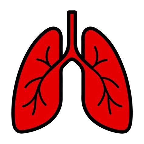 Lungs Clip Art Vectors And Illustrations For Free Download Freepik