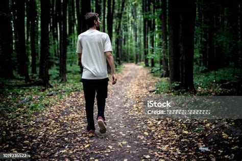 낙된 엽으로가 어두운 변덕 숲에서 캐주얼 산책에 외로운 젊은 남성 소식통 가을에 대한 스톡 사진 및 기타 이미지 가을 개념 걷기 Istock