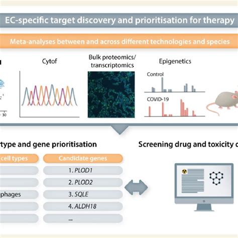 Ec Specific Target Discovery And Prioritization For Therapy Download Scientific Diagram