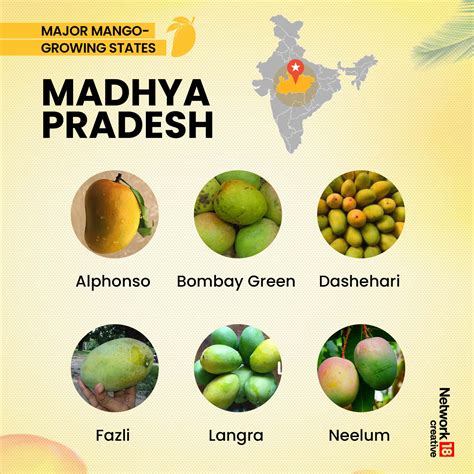 Types Of Mango In Hindi