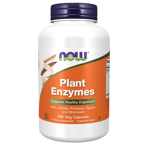 나우푸드 플랜트 엔자임 락타아제 프로테아제 파파인 브로멜라인 식물효소 240 캡슐 Now Supplements Plant Enzymes With