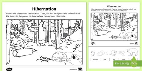 Hibernation Cut And Colour Worksheet Teacher Made