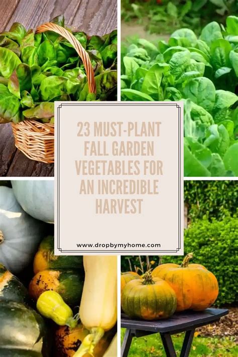 23 Must Plant Fall Garden Vegetables For An Incredible Harvest Fall