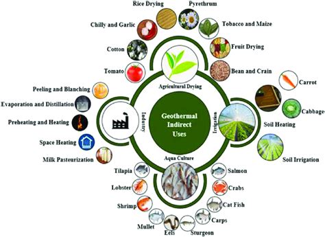 Direct Means Of Geothermal Energy Utilization Download Scientific