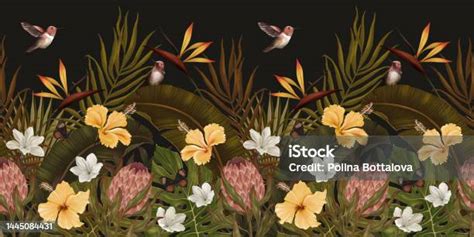 프로테아 히비스커스 꽃 나뭇잎 벌새 나비가 있는 빈티지 어두운 열대 배경 원활한 테두리 프리미엄 벽지 손으로 그린 3d 그림 종이 포장을위한 고급 벽화 열대 기후에 대한