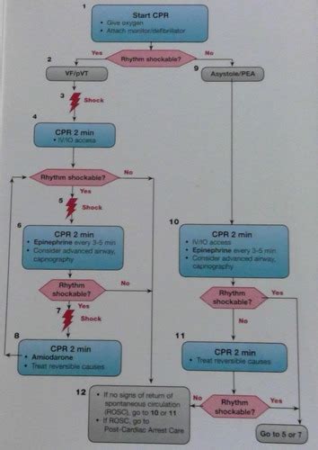 Acls Flashcards Quizlet