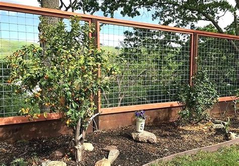 Image Result For Hogwire Trellis For Vines Backyard Fences Fence