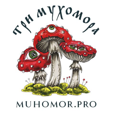 "Три мухомора" | Сушеные грибы, ягоды, травы и семена